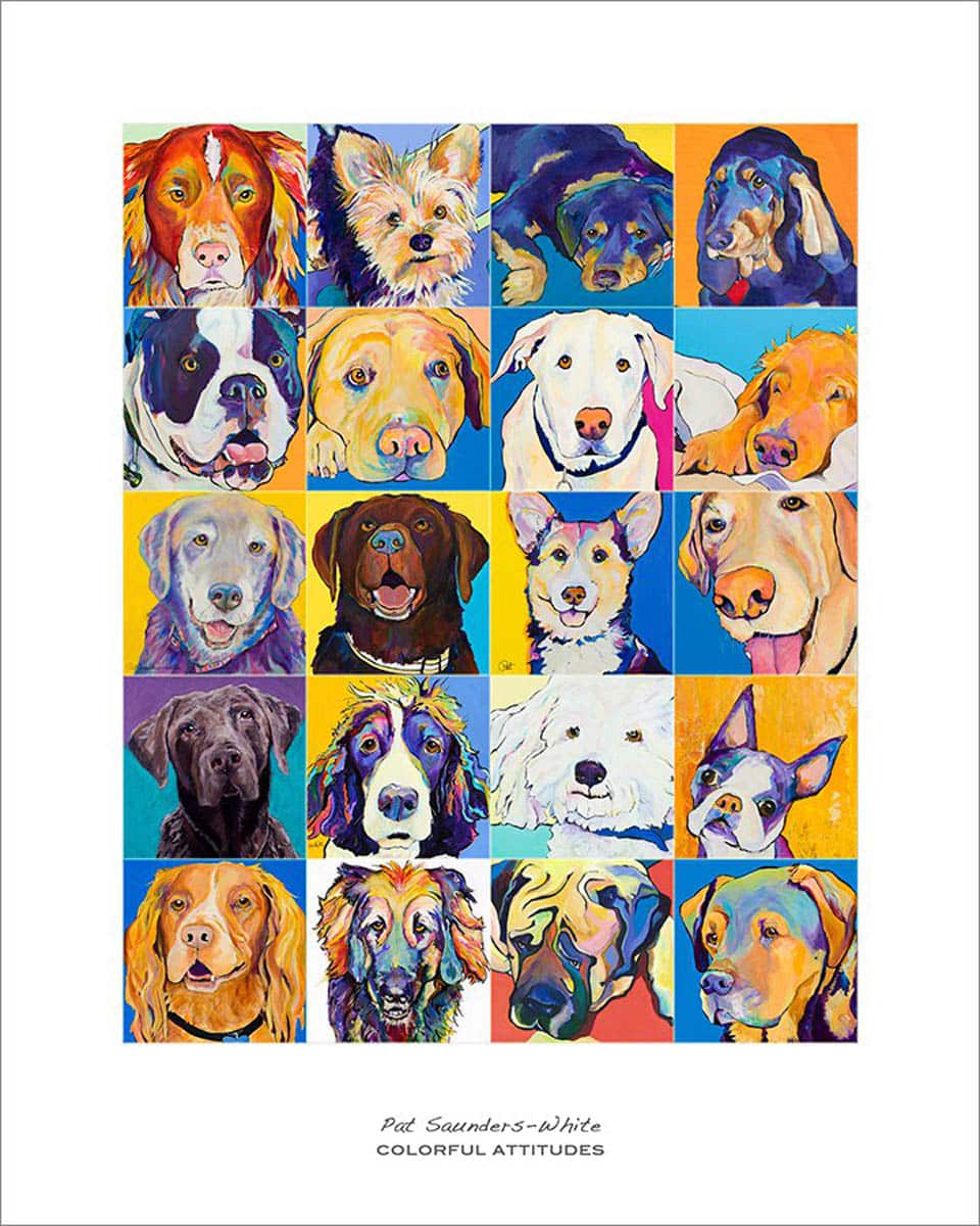 Pat Saunders-White - Loveland Creates